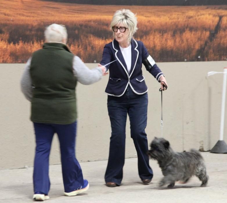 Three Counties Championship Show 2025 | Midland Cairn Terrier Club