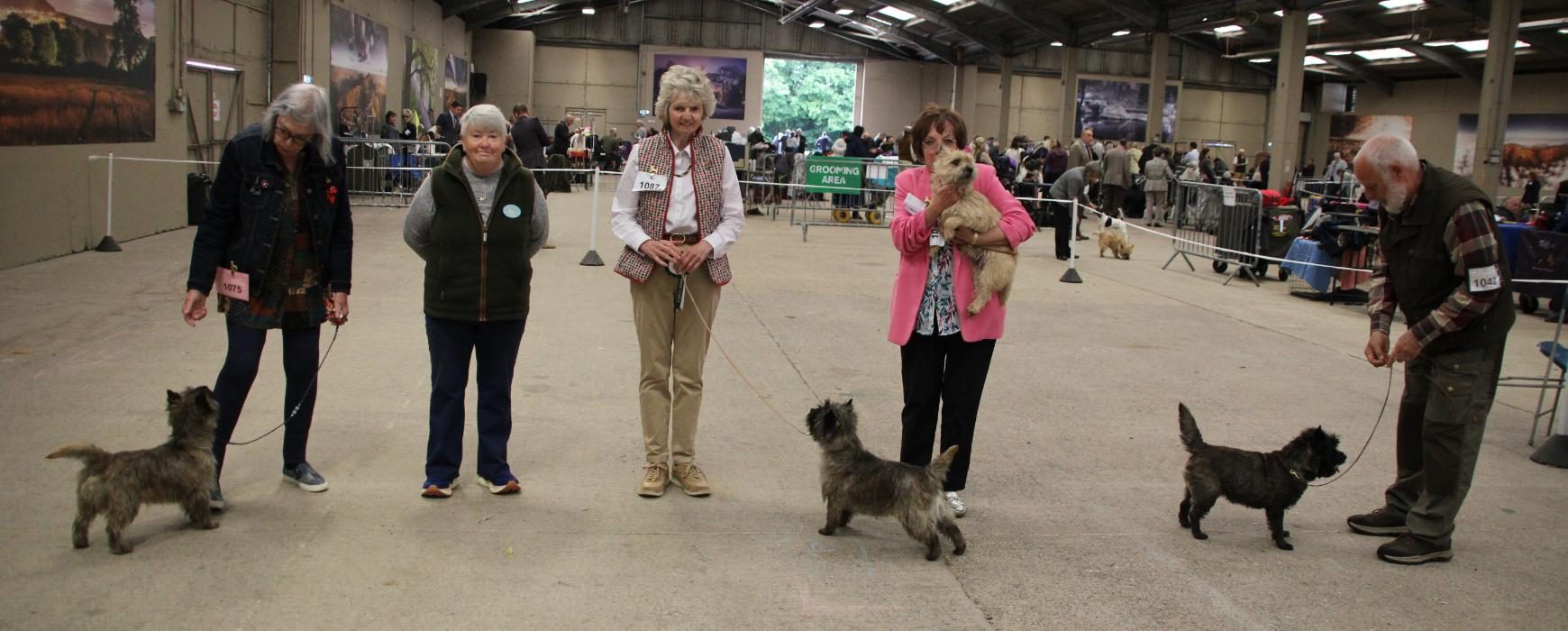 Three Counties Championship Show 2025 | Midland Cairn Terrier Club